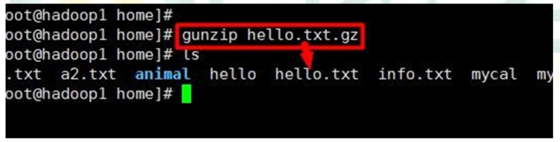 总结Linux系统压缩和解压文件指令——gzip/gunzip 指令、zip/unzip 指令、tar 指令_gunzip -c命令-CSDN博客