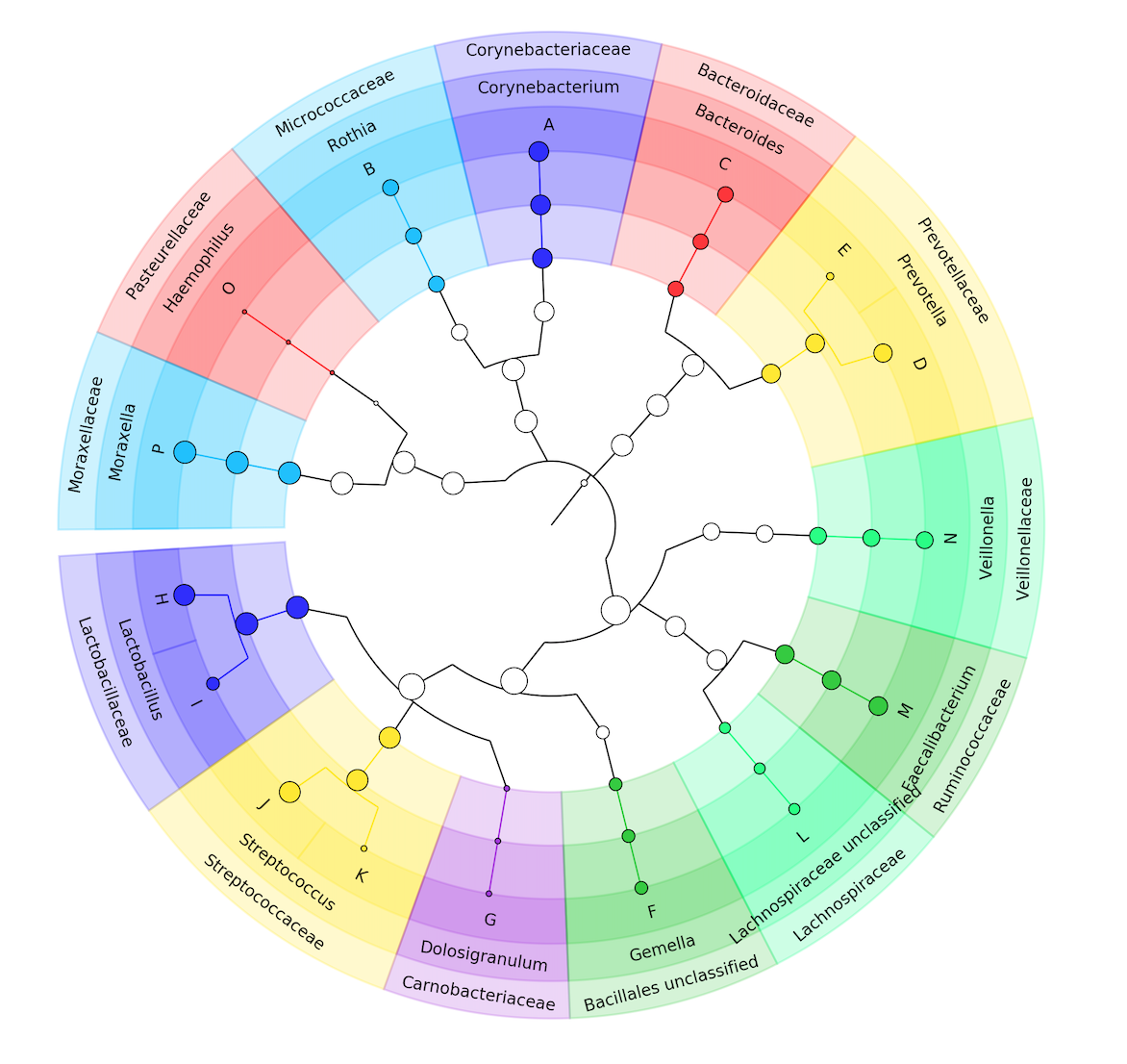 graphlan/iTOL画进化树记录_table2itol-CSDN博客