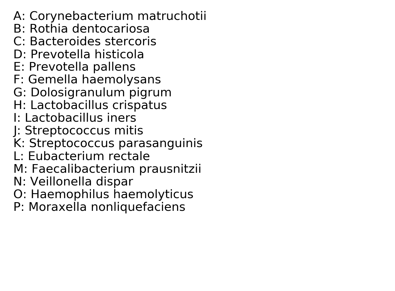 graphlan/iTOL画进化树记录_table2itol-CSDN博客