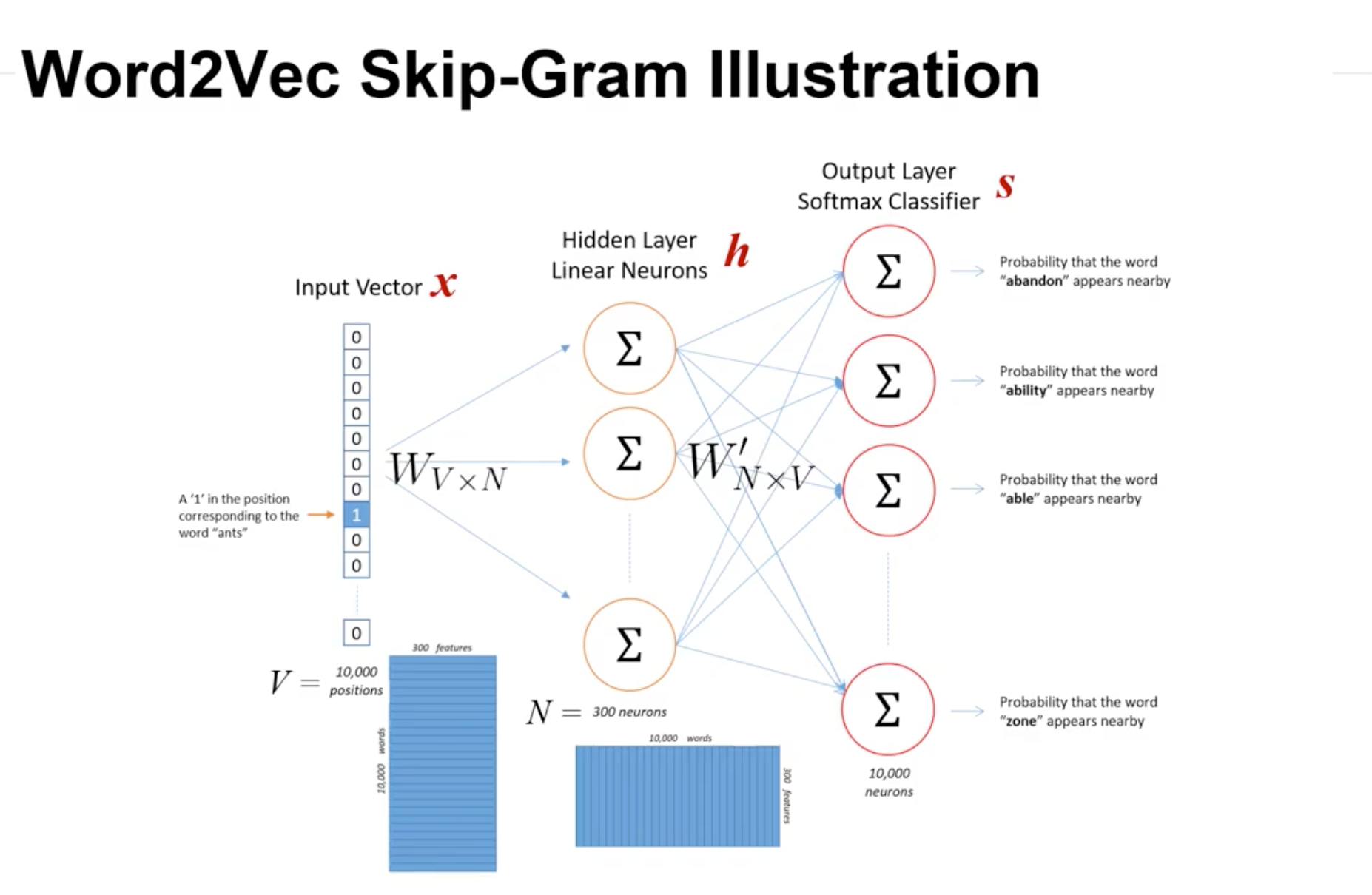 word2vec skip gram 直观理解、训练过程和负采样_word2vec损失函数是什么-CSDN博客