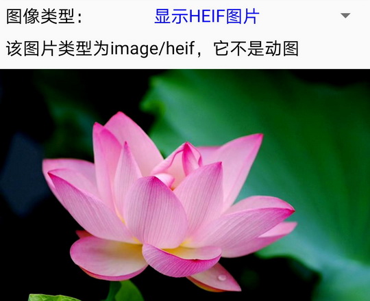 Android开发笔记（一百七十四）图像解码器ImageDecoder_imagedecoder接口支持的图片分别率-CSDN博客