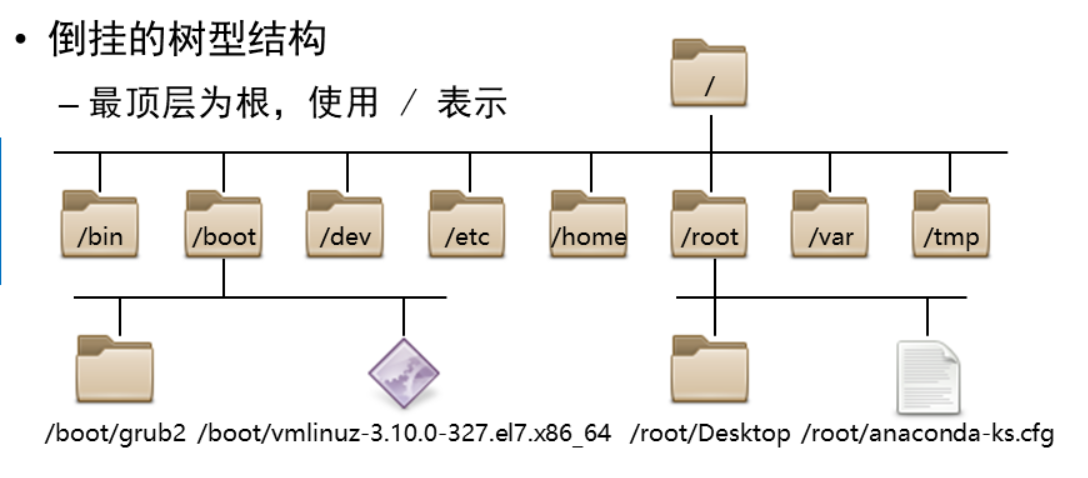 Linux系统简介 常用的基础命令领纳克斯 最基本的命令 Csdn博客 