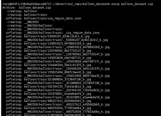 【Detectron2 教程】Detectron2 安装 运行demo 运行预训练模型 在一个新的数据集上训练一个detectron2模型 训练自定义数据集 balloon_dataset ...