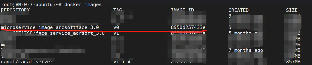 虹软开发新得---容器化部署（docker/.net5/C#）避坑_虹软 docker-CSDN博客