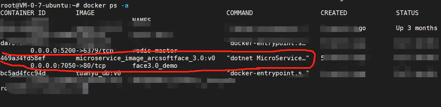 虹软开发新得---容器化部署（docker/.net5/C#）避坑_虹软 docker-CSDN博客
