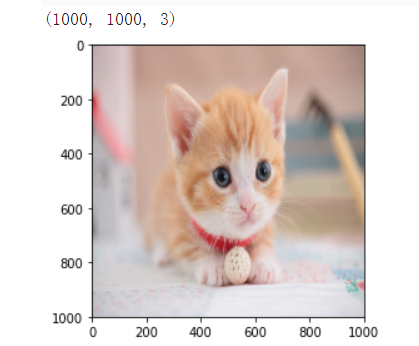 opencv+python 实现图像缩放翻转旋转_python 图片放大后旋转-CSDN博客