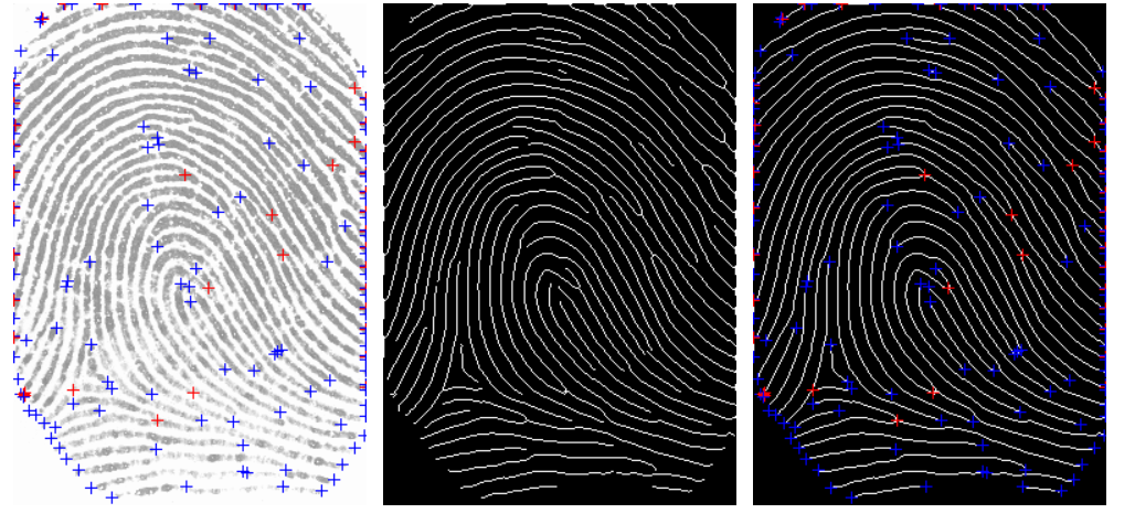 2021wsb Day2 4 Raffaele教授演示利用opencv和python实现一个指纹识别系统 含代码 Part4指纹脊线图 Python Csdn博客