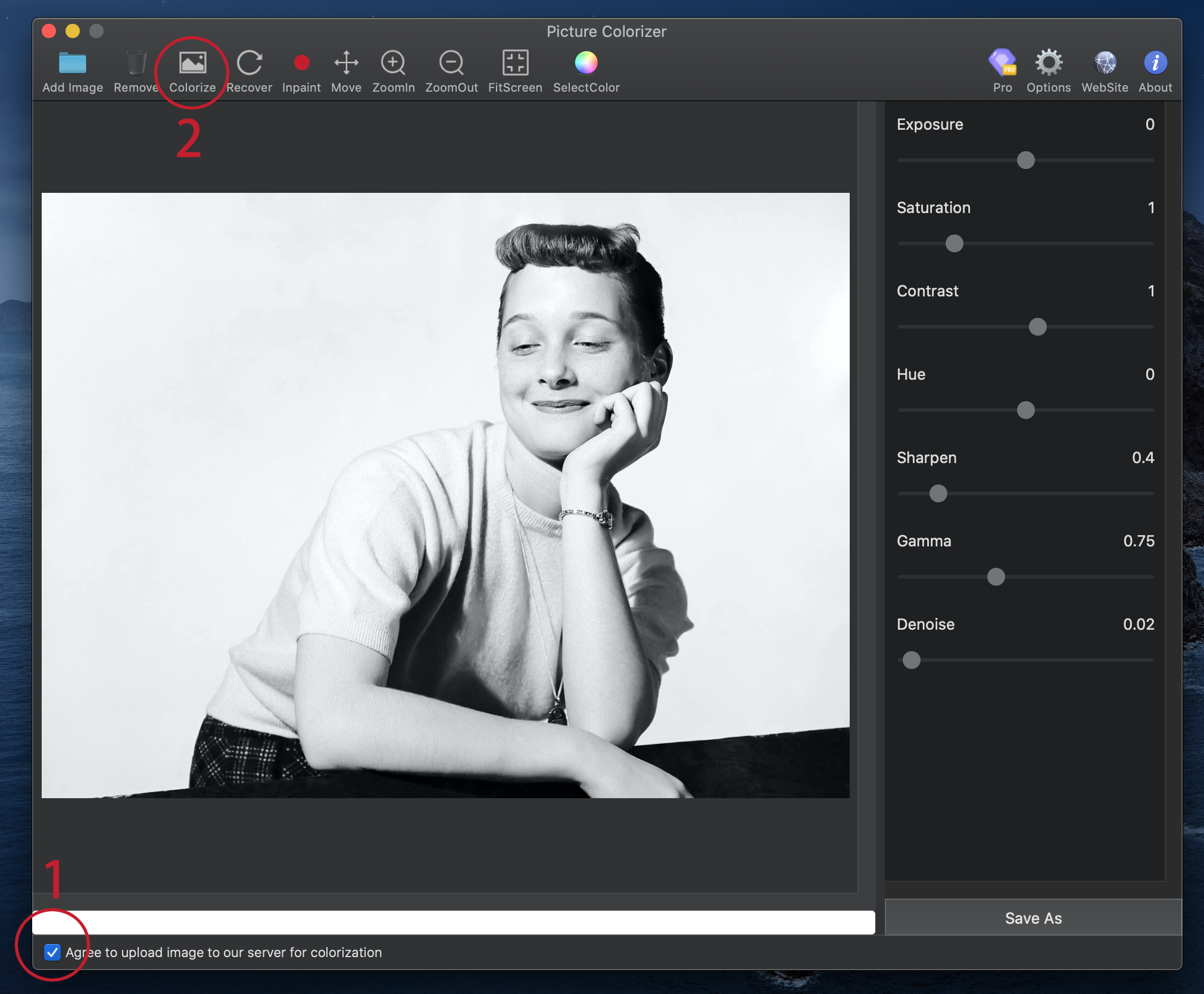 强推，黑白照片一步完美上色，Picture Colorizer Pro Mac版-CSDN博客