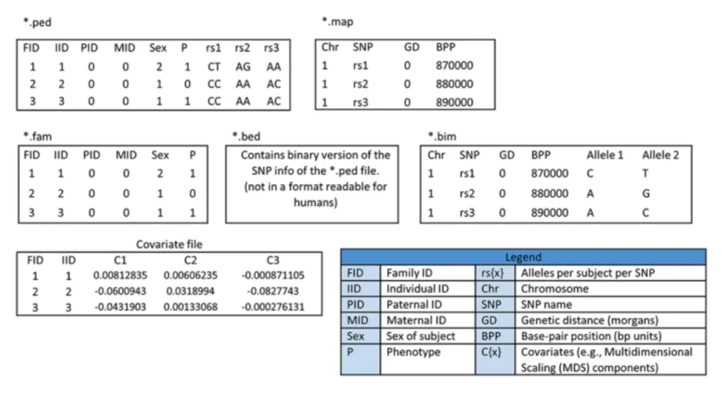 GWAS（1）——文件格式及linux上的转换_vcf格式转换为hap格式-CSDN博客