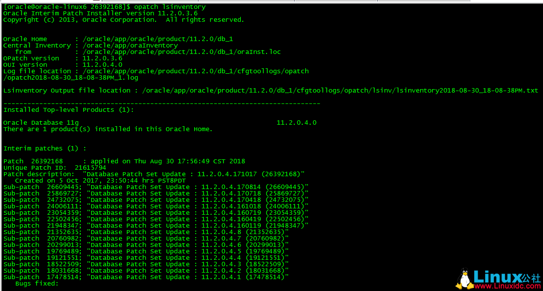 Oracle Linux 6.9安装和Oracle 11.2.0.4.0安装及psu补丁升级_oracle linux6.9安装教程-CSDN博客