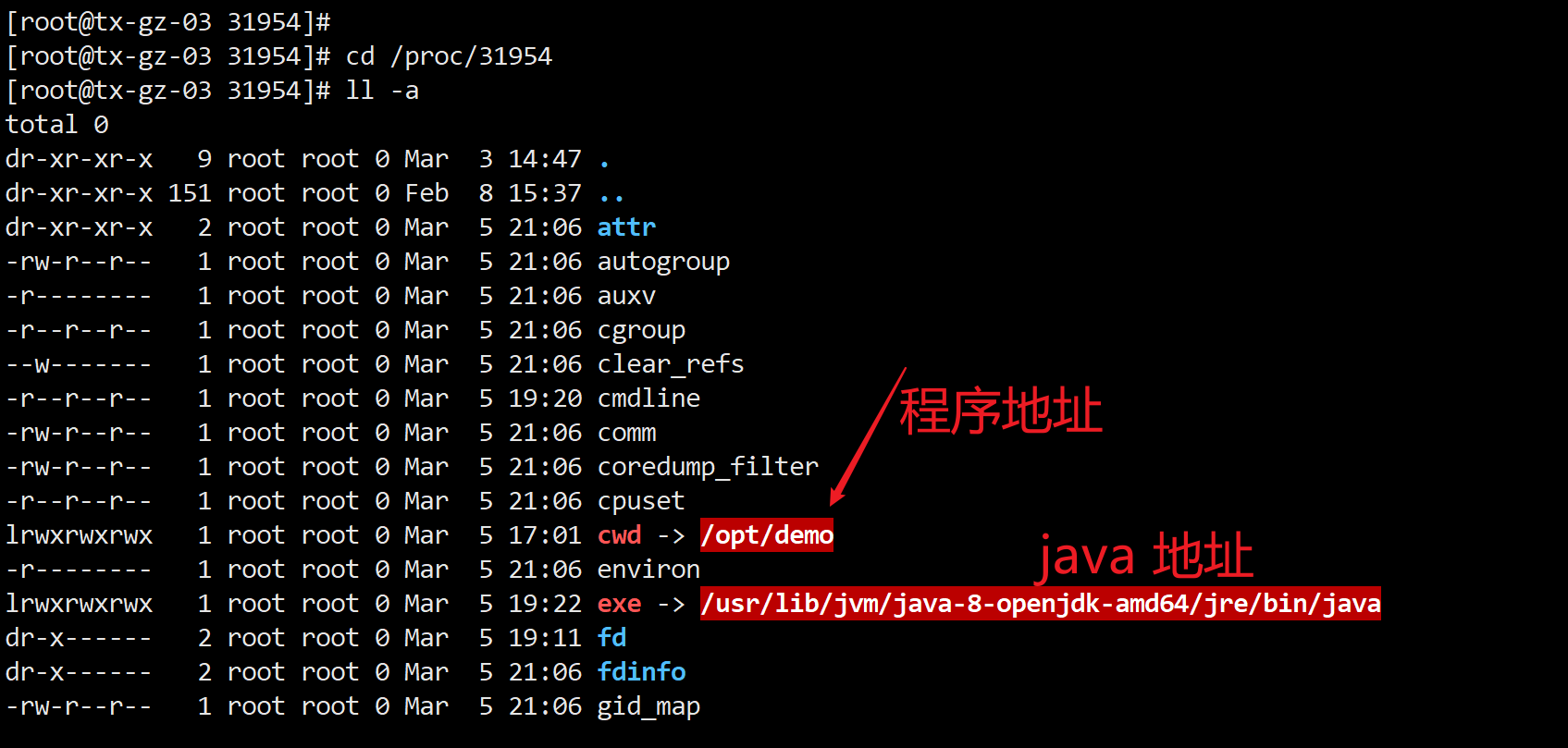 Linux 如何找到程序或者文件的地址 端口/whereis/find/which/进程号_查看某个端口 whereis-CSDN博客