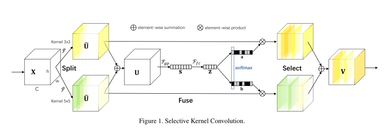 Selective Kernel Networks-CSDN博客