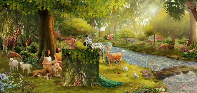 halcon【改进中-】如何将Image图象的区域拷贝出来？_halcon 复制图像-CSDN博客