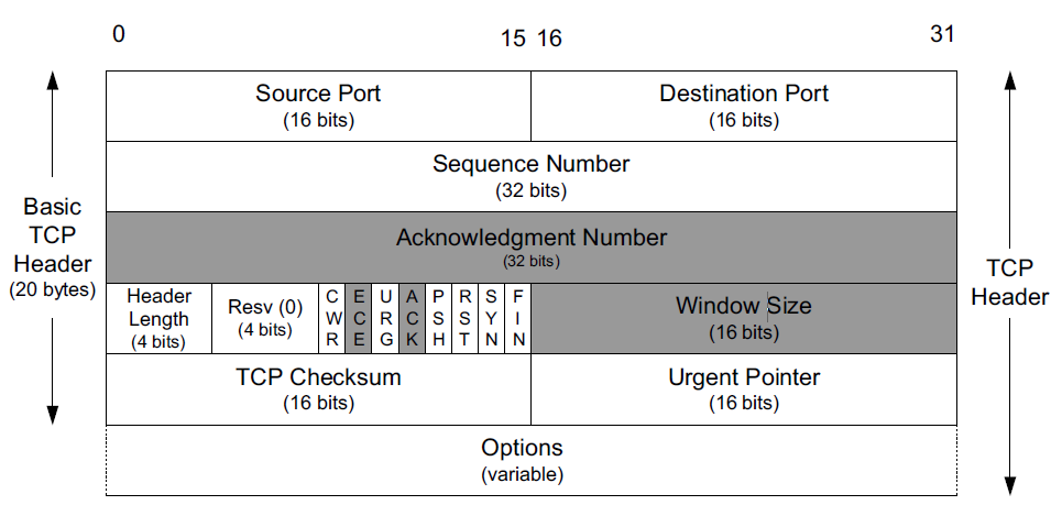 网络（2） ： 常用的TCP Option（MSS）-CSDN博客