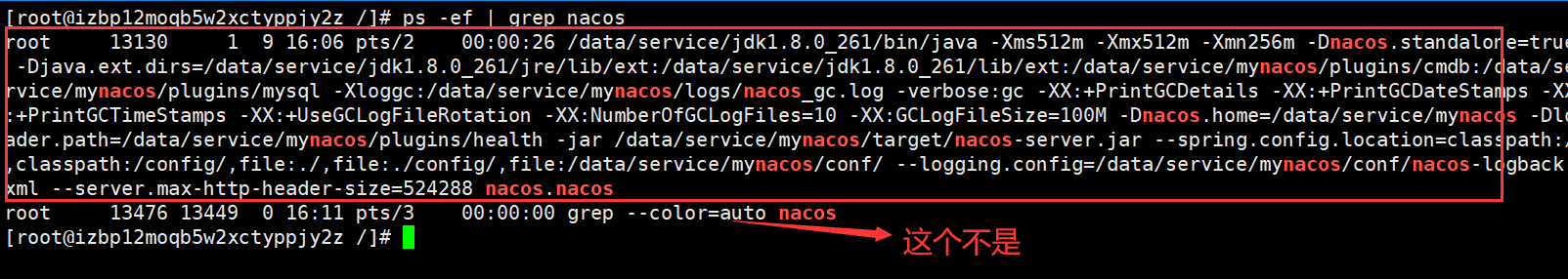 Linux下启动Nacos_linux查看nacos进程-CSDN博客
