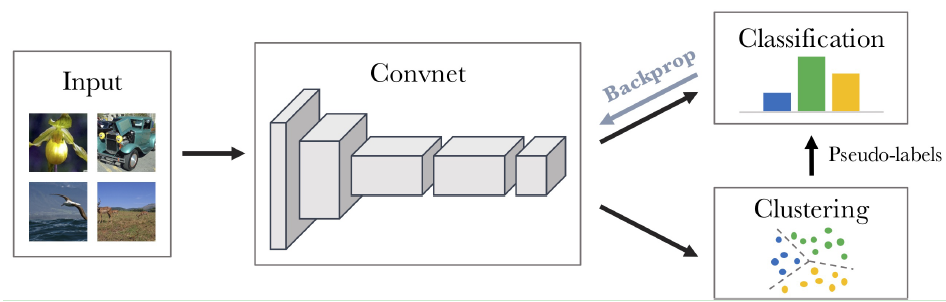 ECCV2018(Deep Clustering)：论文解读《Deep Clustering for Unsupervised Learning of Visual Features ...