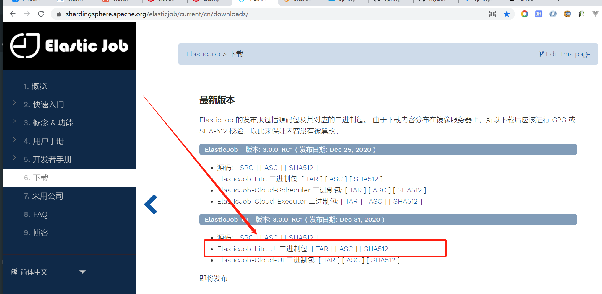 elastic-job监控平台ElasticJob-UI的使用-CSDN博客