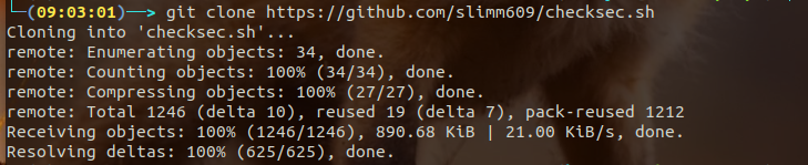 checksec安装与使用-CSDN博客