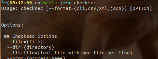 checksec安装与使用-CSDN博客