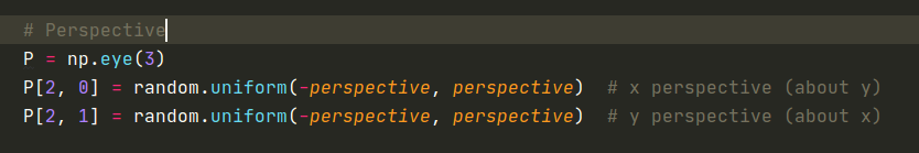 yolov5数据增强引发的思考——透视变换矩阵的创建_yolov5 perspective-CSDN博客