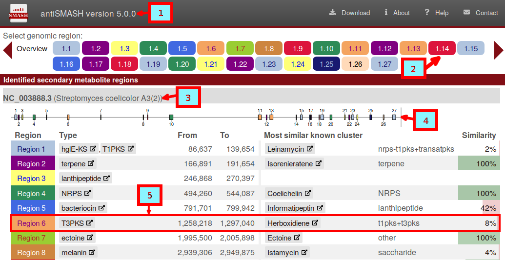 Antismash-BigScape次级代谢基因簇鉴定-CSDN博客