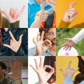 14类静态手势数据集 (开源项目 handpose_x)_nvgesture数据集下载-CSDN博客