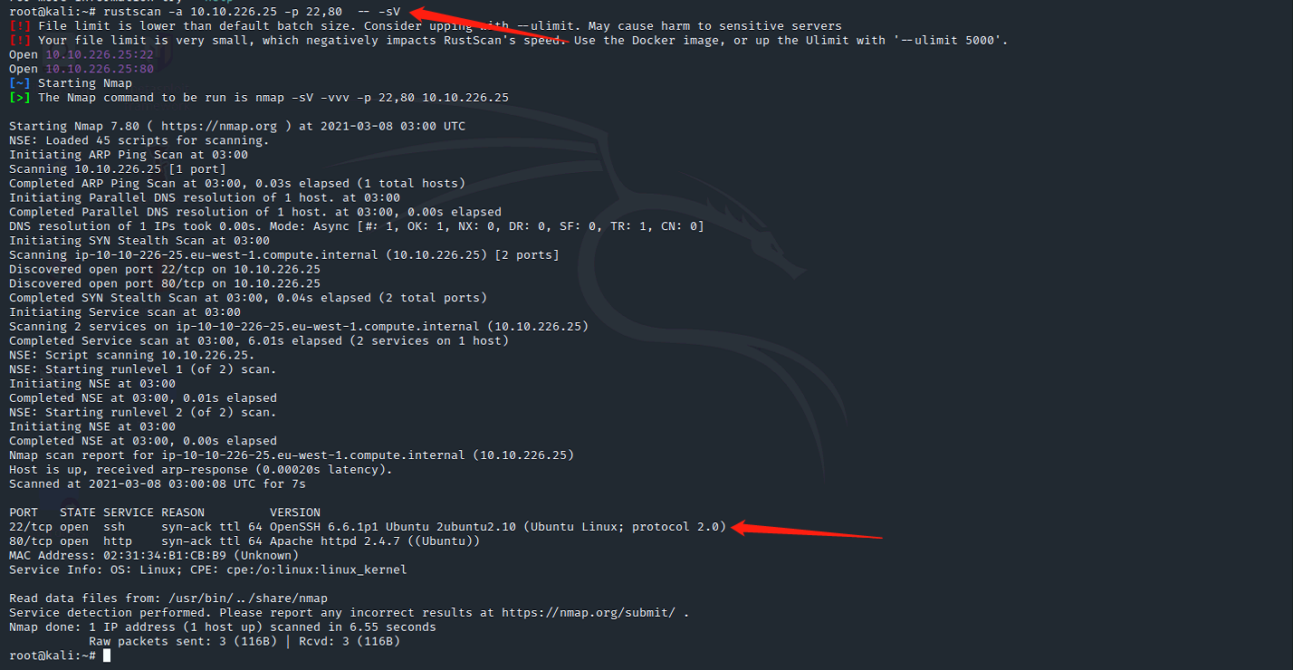 RustScan（端口扫描器）-CSDN博客