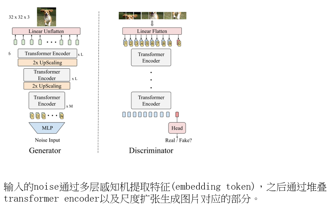 论文《TransGAN：丢弃卷积，纯 Transformer 构建 GAN 网络》理解_transganv2-CSDN博客