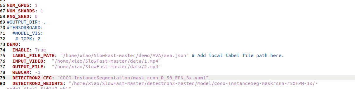 detectron2和slowfast的安装与使用_oserror: video 0 cannot be opened-CSDN博客