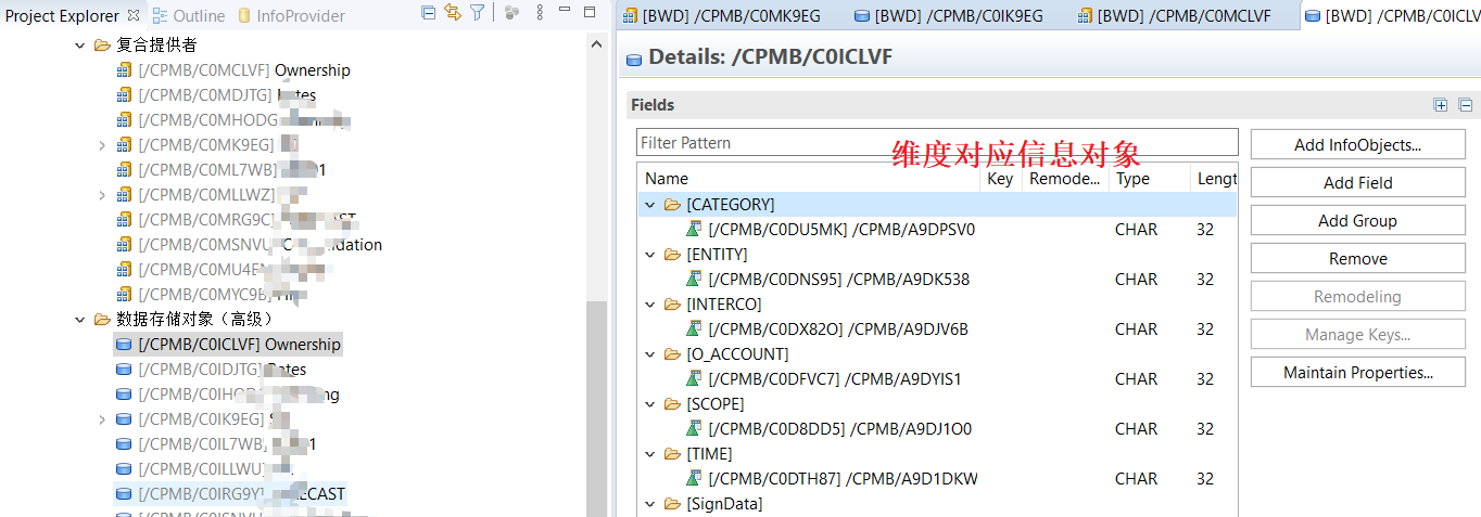SAP BPC开发：对ABAPer的快速扫盲_sap bpc界面-CSDN博客