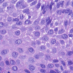 2021-03-08_python安装stain tools-CSDN博客