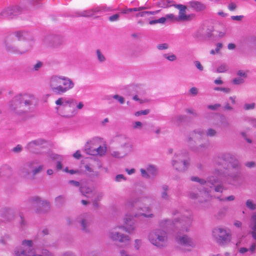 2021-03-08_python安装stain tools-CSDN博客