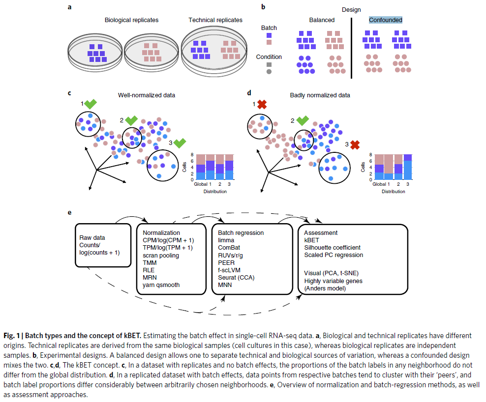 关于单细胞批次矫正那些事(二) KBET 用于单细胞批次矫正结果的评估-CSDN博客