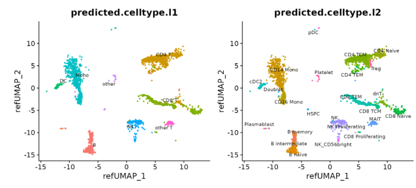 Seurat 4.0学习笔记（测试数据与参考数据集的比对）_seurat mapquery-CSDN博客