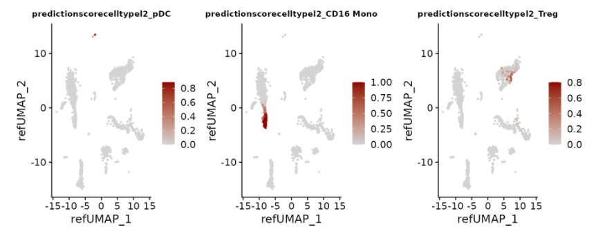 Seurat 4.0学习笔记（测试数据与参考数据集的比对）_seurat mapquery-CSDN博客