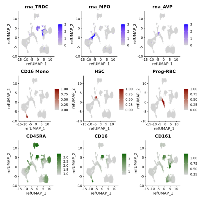 Seurat 4.0学习笔记（测试数据与参考数据集的比对）_seurat mapquery-CSDN博客