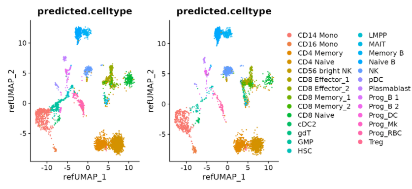 Seurat 4.0学习笔记（测试数据与参考数据集的比对）_seurat mapquery-CSDN博客