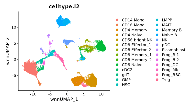 Seurat 4.0学习笔记（测试数据与参考数据集的比对）_seurat mapquery-CSDN博客