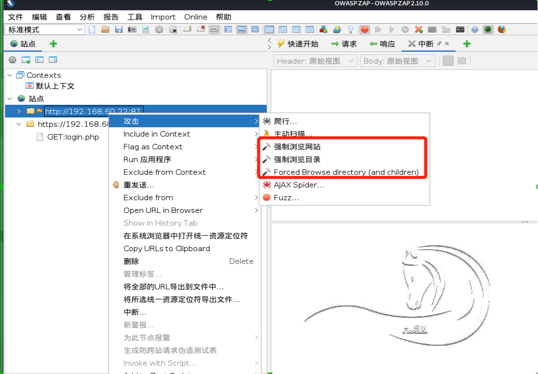 OWASP ZAP安装与测试DVWA_zap dvwa-CSDN博客