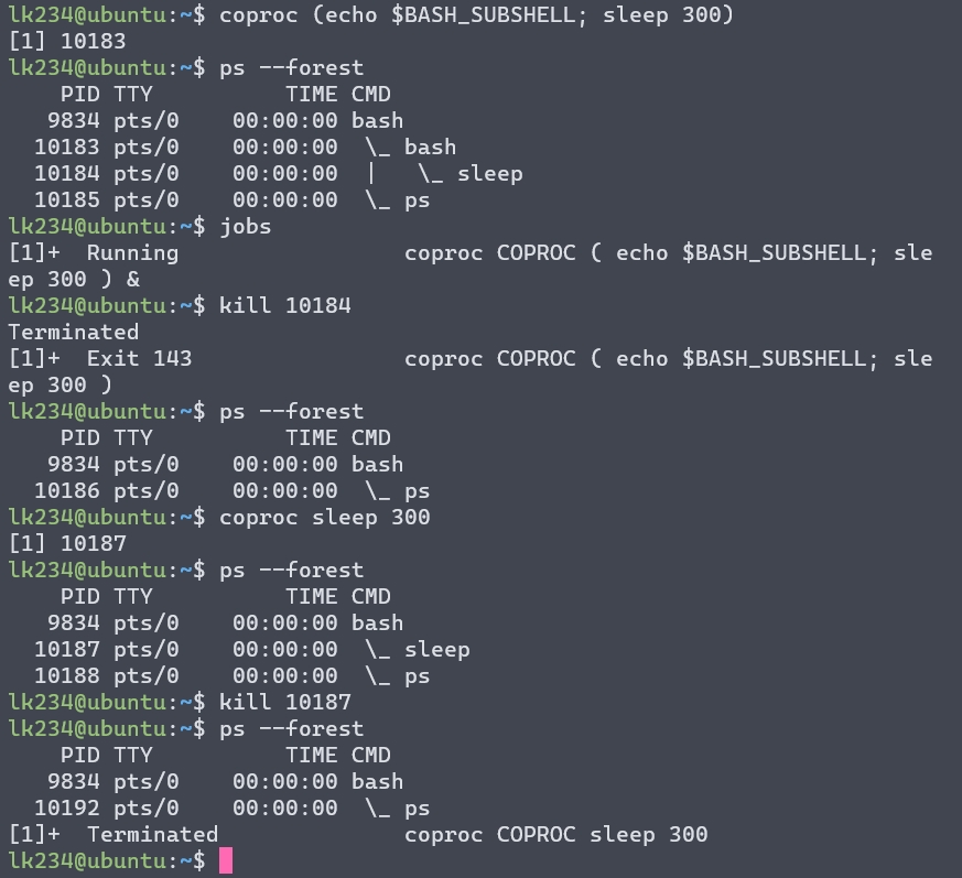 Linux 进程列表、后台模式、 协程（操作向）_linux进程列表是什么-CSDN博客