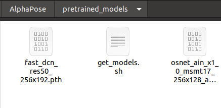 【多人姿态估计】AlphaPose推理demo复现_alphapose训练自己数据集-CSDN博客