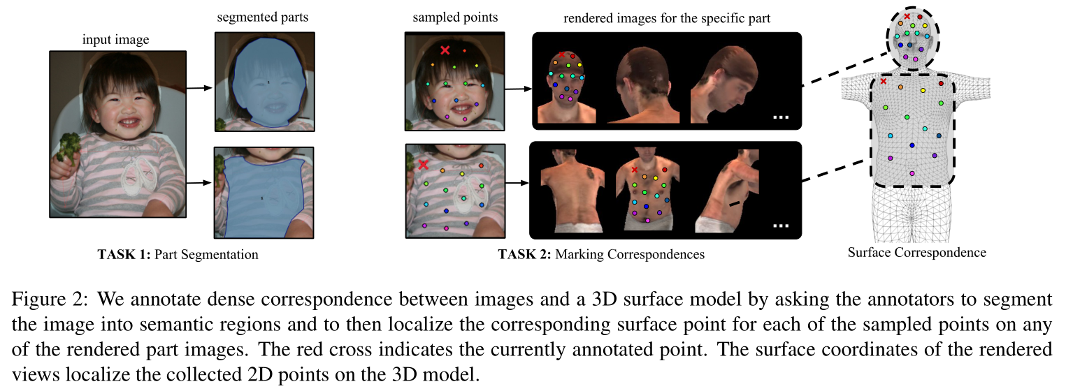 densepose标注/COCO-DensePose Dataset_densepose-coco dataset-CSDN博客