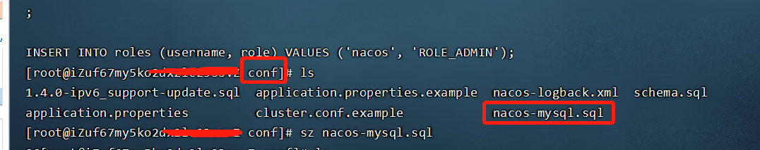 4.阿里云上安装nacos_阿里云服务器装nacos-CSDN博客