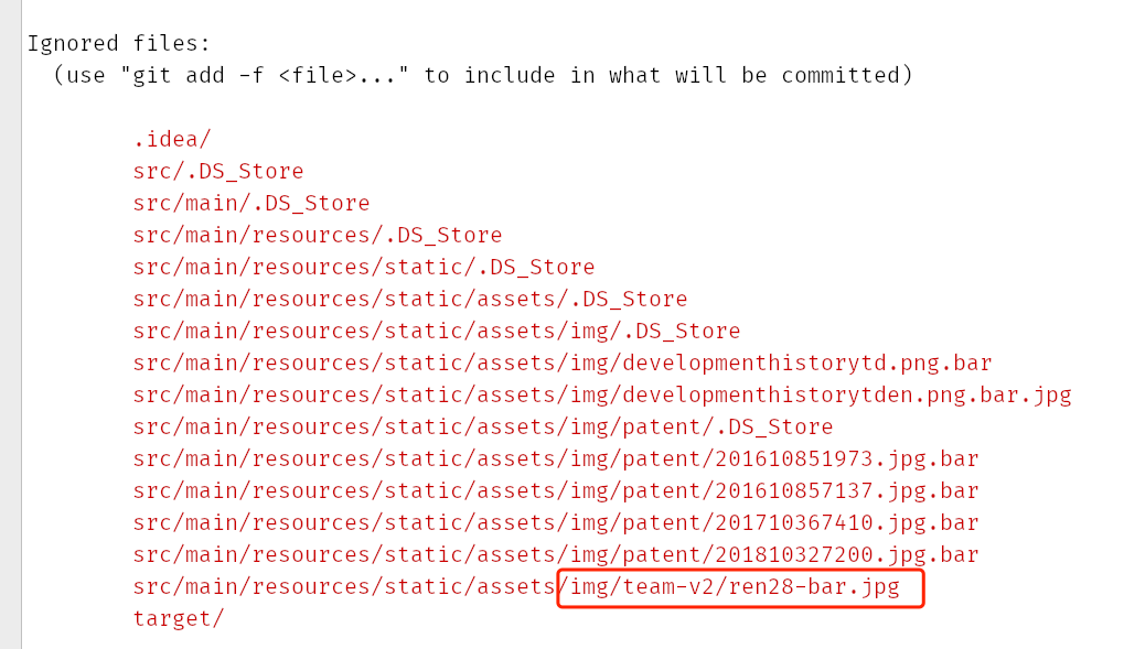 [Git 系列] git 未忽略文件检测不到的解决方法_git excel文件 检测不了resource-CSDN博客