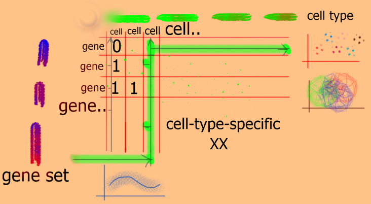 Cell-type–specific || 单细胞文章新范式_to reveal cell-type-specific dynamic-CSDN博客