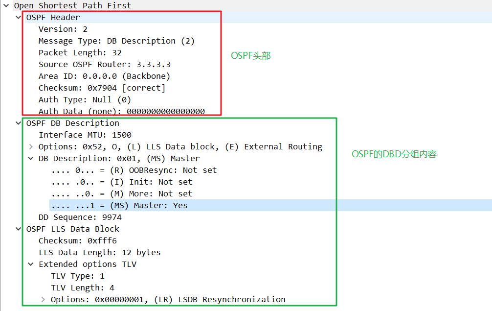 网络篇 OSPF的报文分组-45_ospf hello分组-CSDN博客