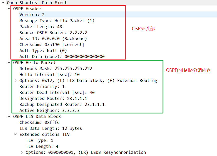 网络篇 OSPF的报文分组-45_ospf hello分组-CSDN博客