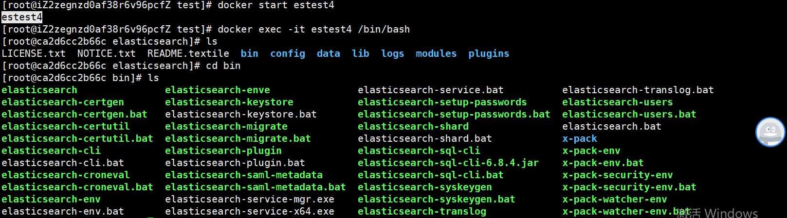 Docker run最后加/bin/bash遇到的问题_docker run bash-CSDN博客