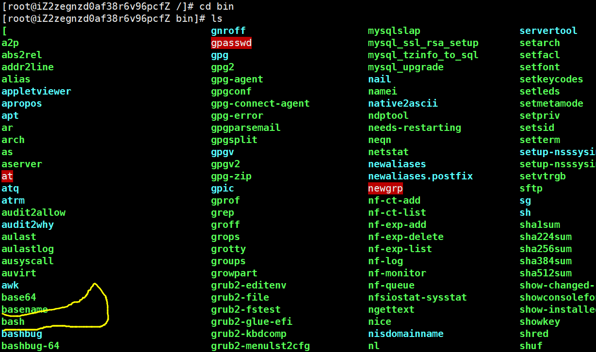 Docker run最后加/bin/bash遇到的问题_docker run bash-CSDN博客
