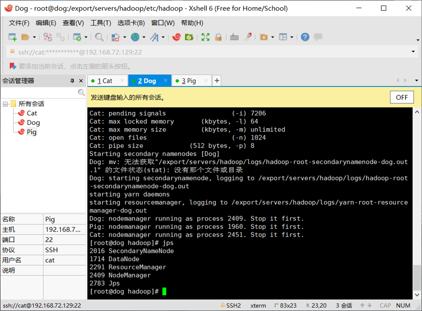 Hadoop集群安装及其配置（三台虚拟机）_hadoop集群搭建完成好jps后各个虚拟机出现什么-CSDN博客